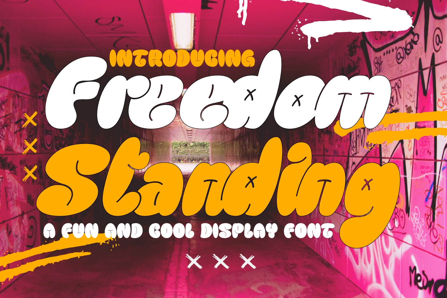 Freedom Standing - Bubble Font - 177 Studio