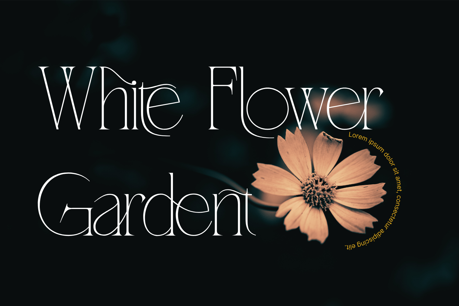 Bridging Progress Font - 177 Studio