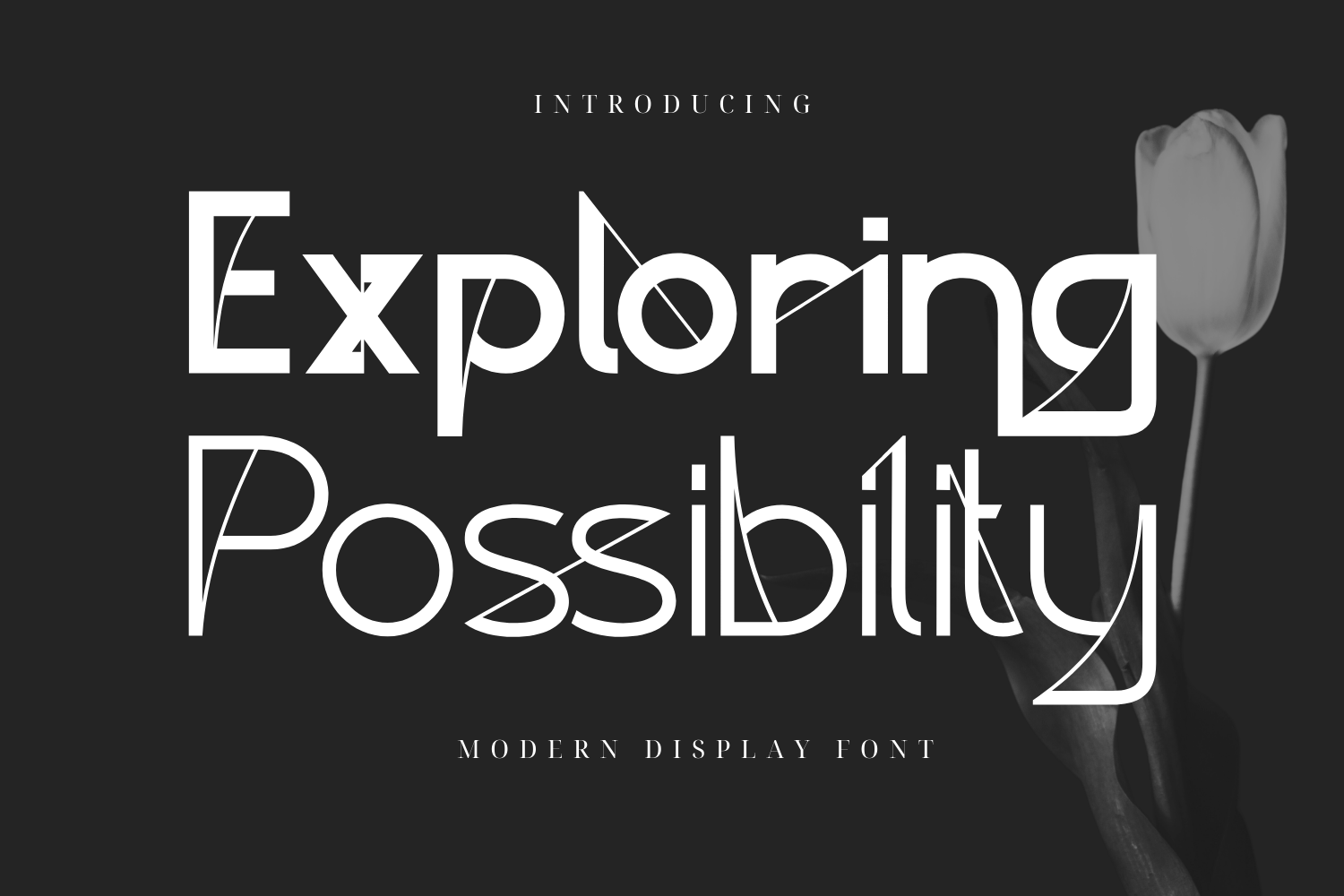 Exploring Possibility Font - 177 Studio