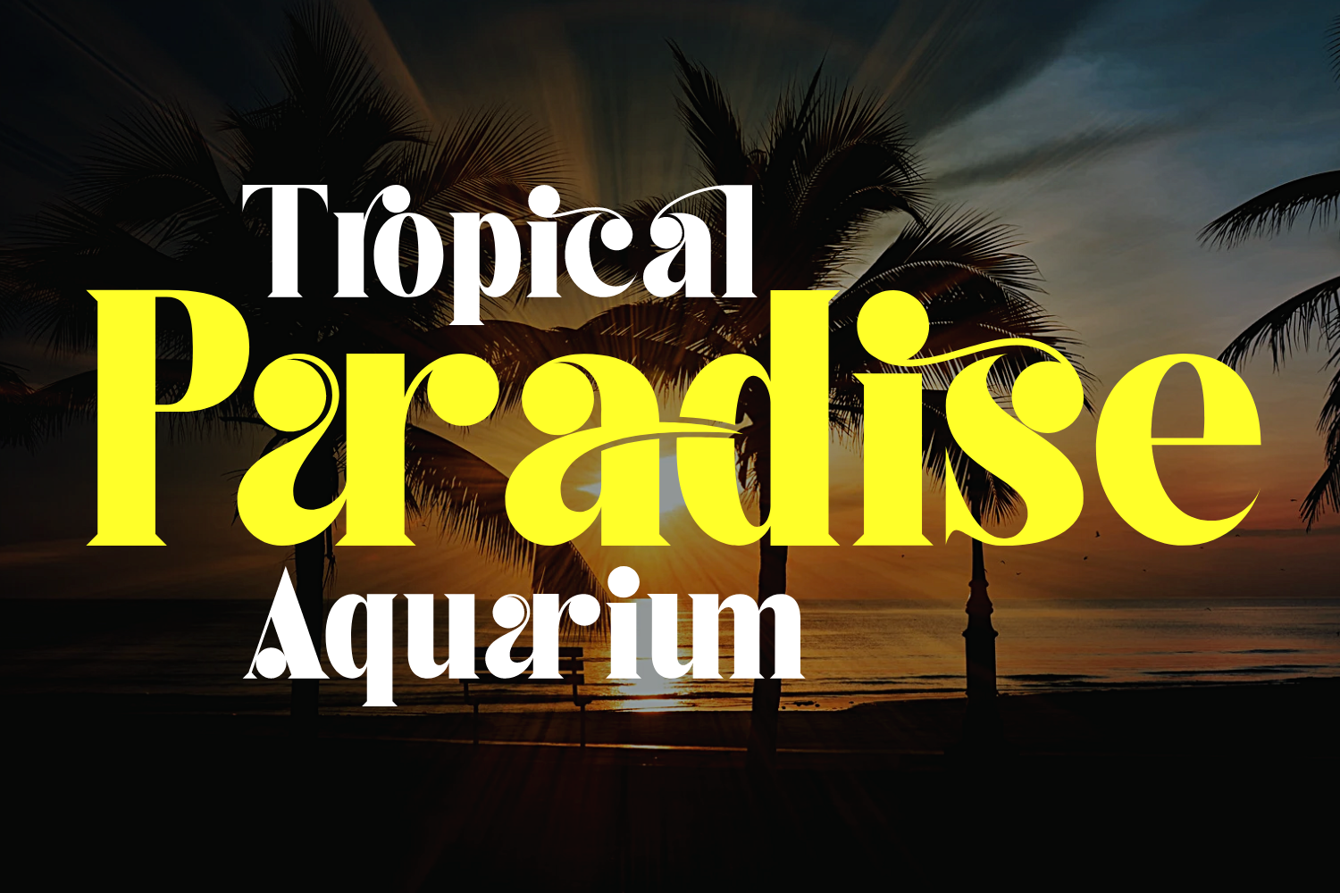 Materials Depicting Font - 177 Studio