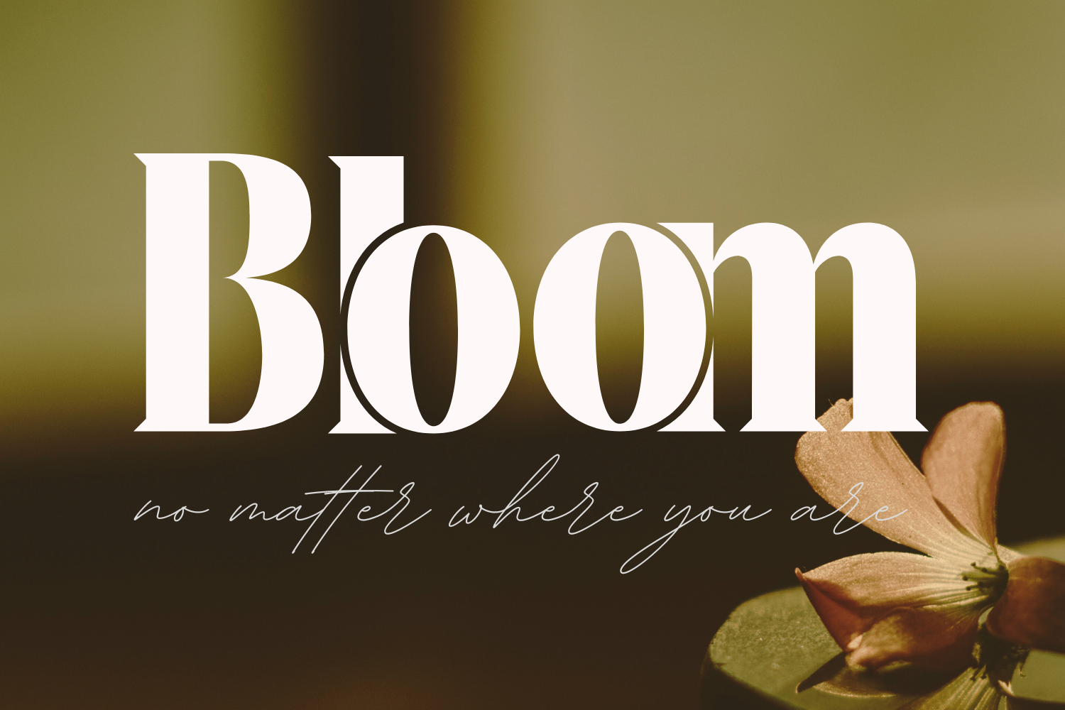 Materials Depicting Font - 177 Studio