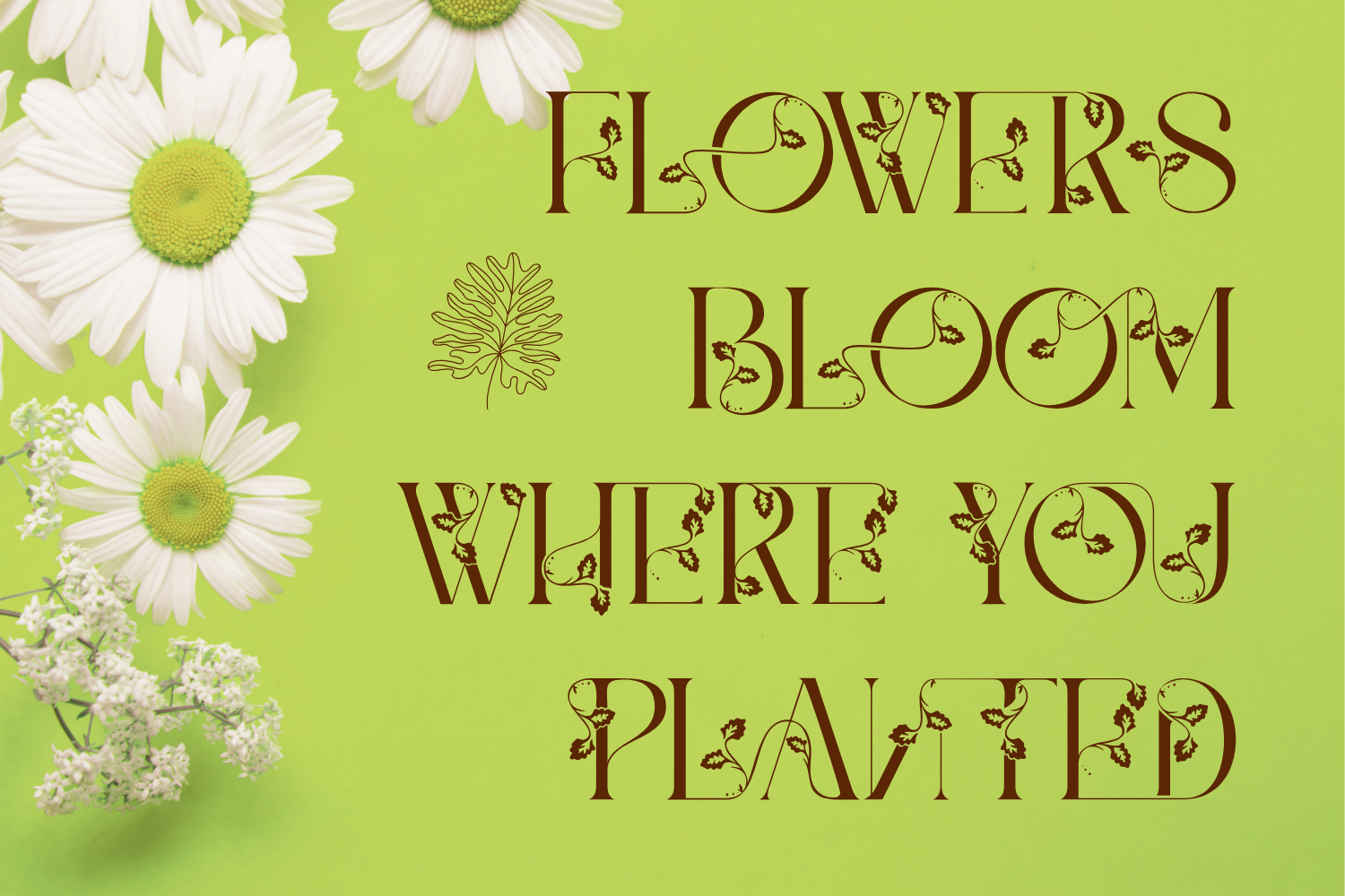 NATURAL FOLKLORE FONT - 177 Studio