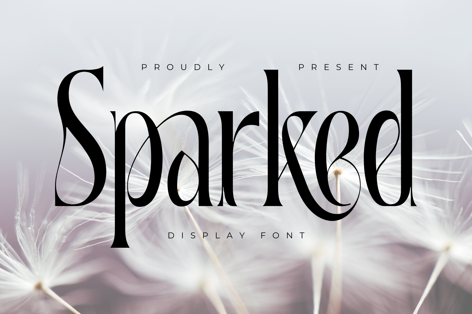 Sparked | Modern Serif Font - 177 Studio