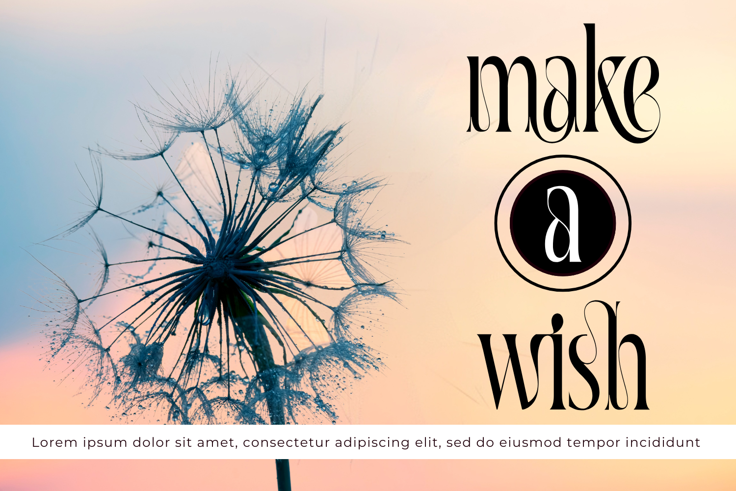 Sparked | Modern Serif Font - 177 Studio