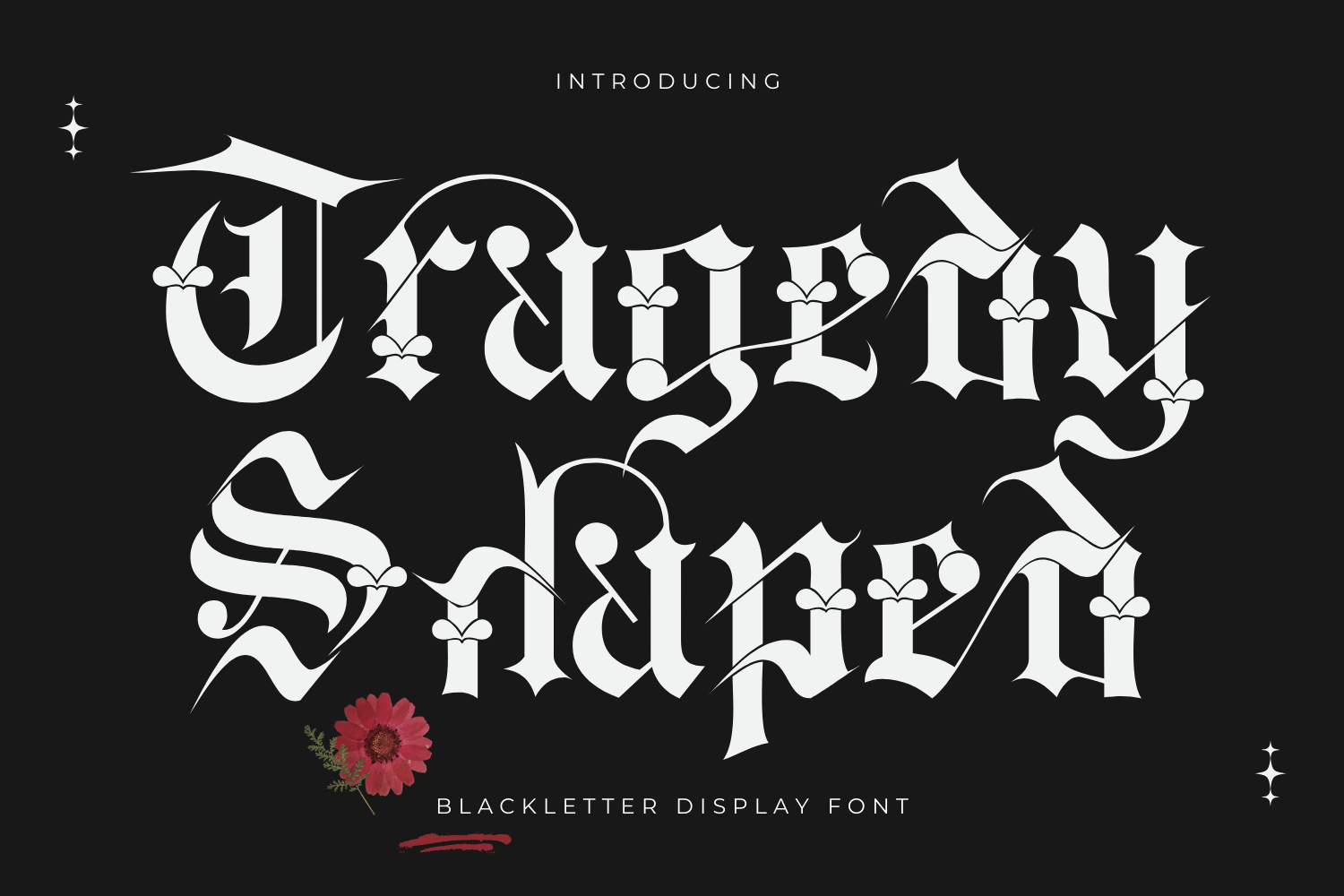 Tragedy Shaped | Blackletter Font - 177 Studio