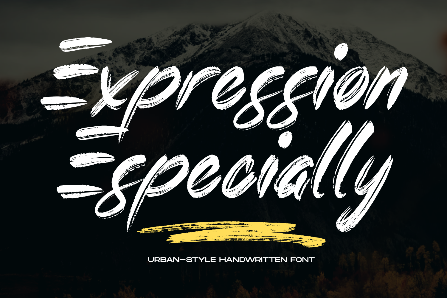 Expression Especially - Brush Font - 177 Studio