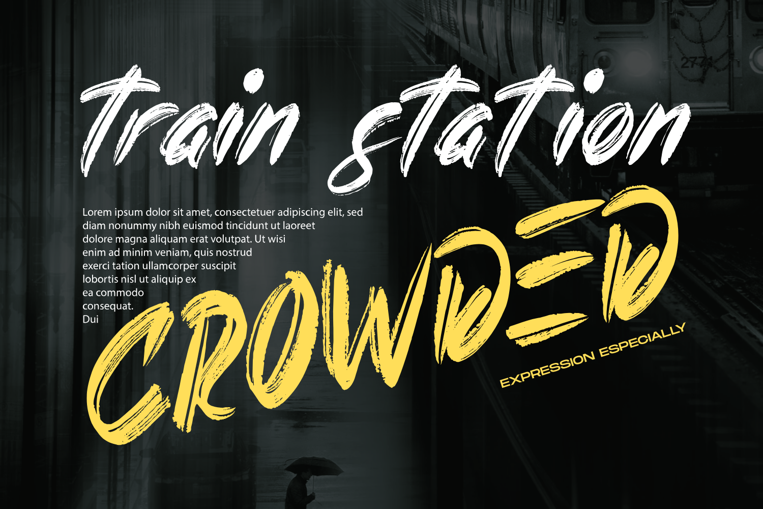 Expression Especially - Brush Font - 177 Studio