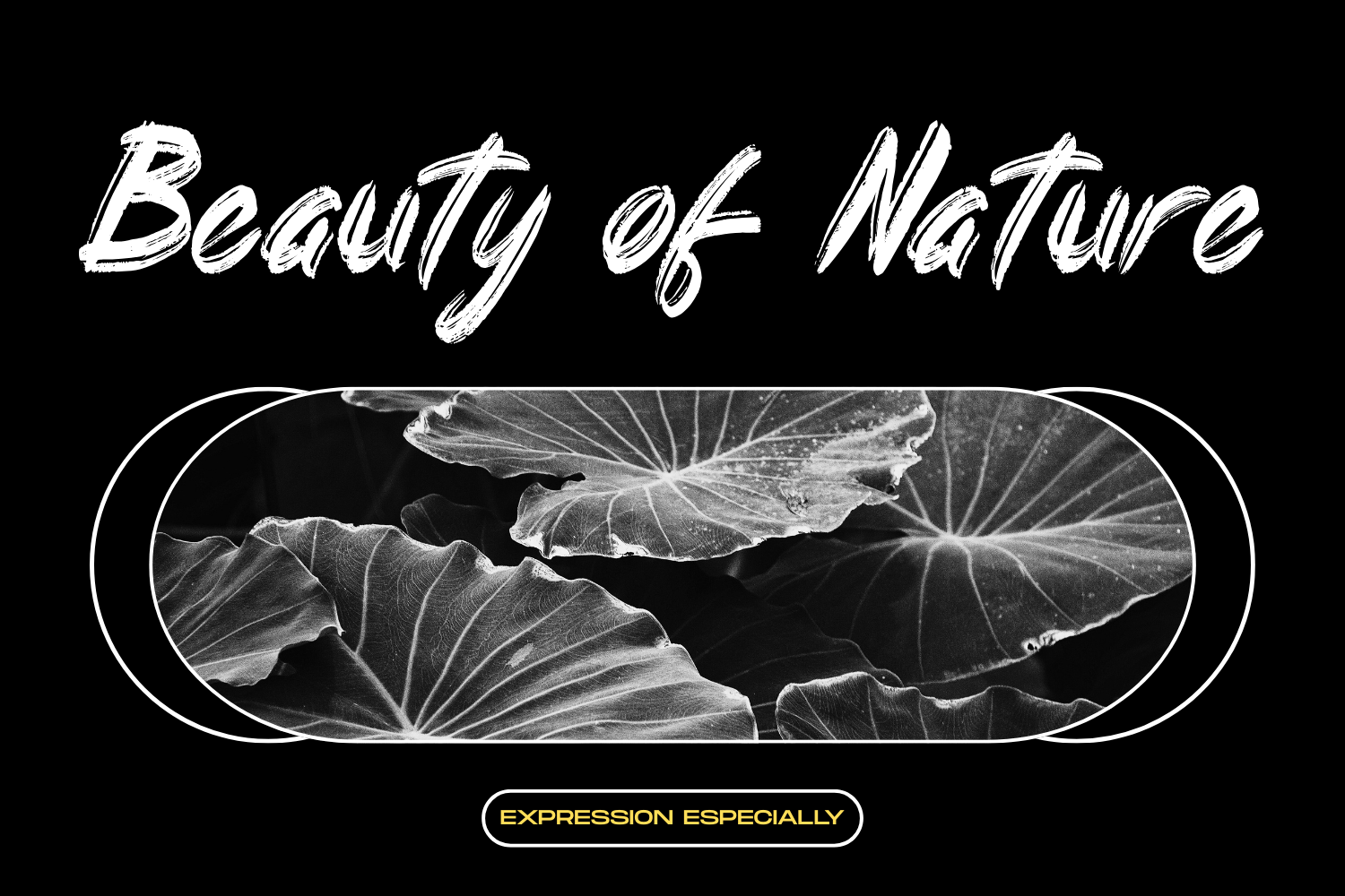 Expression Especially - Brush Font - 177 Studio