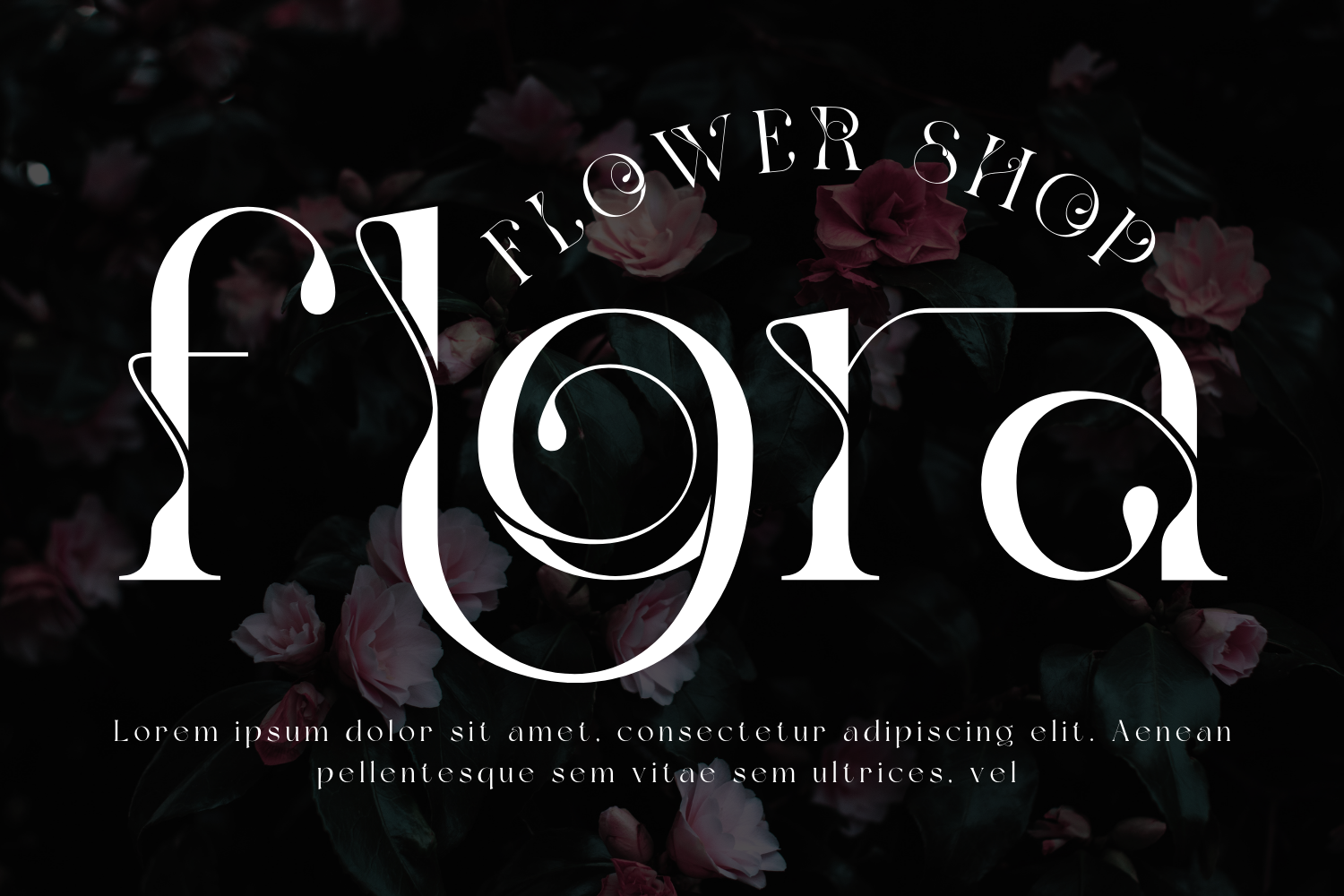 Rococo Complete - Ligature Serif Font - 177 Studio