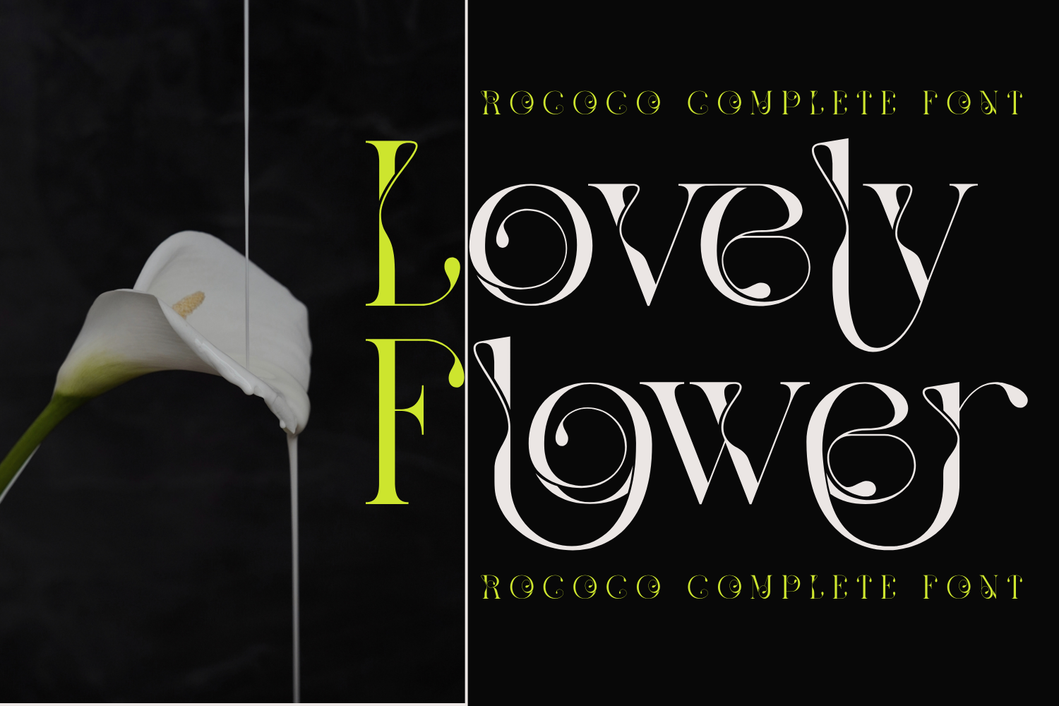 Rococo Complete - Ligature Serif Font - 177 Studio