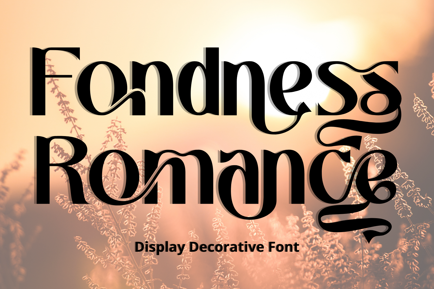 Fondness Romance Font - 177 Studio